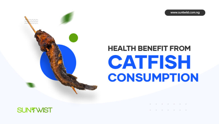 Health Benefits Derived from Catfish Consumption – Suntwist ...